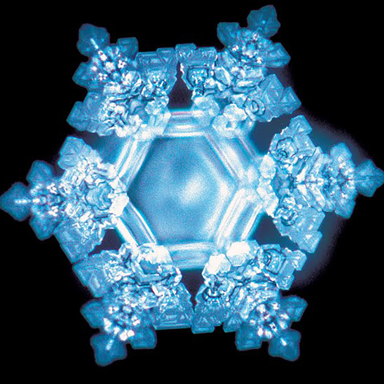 WATER/MATER - Beatrice Burati Anderson